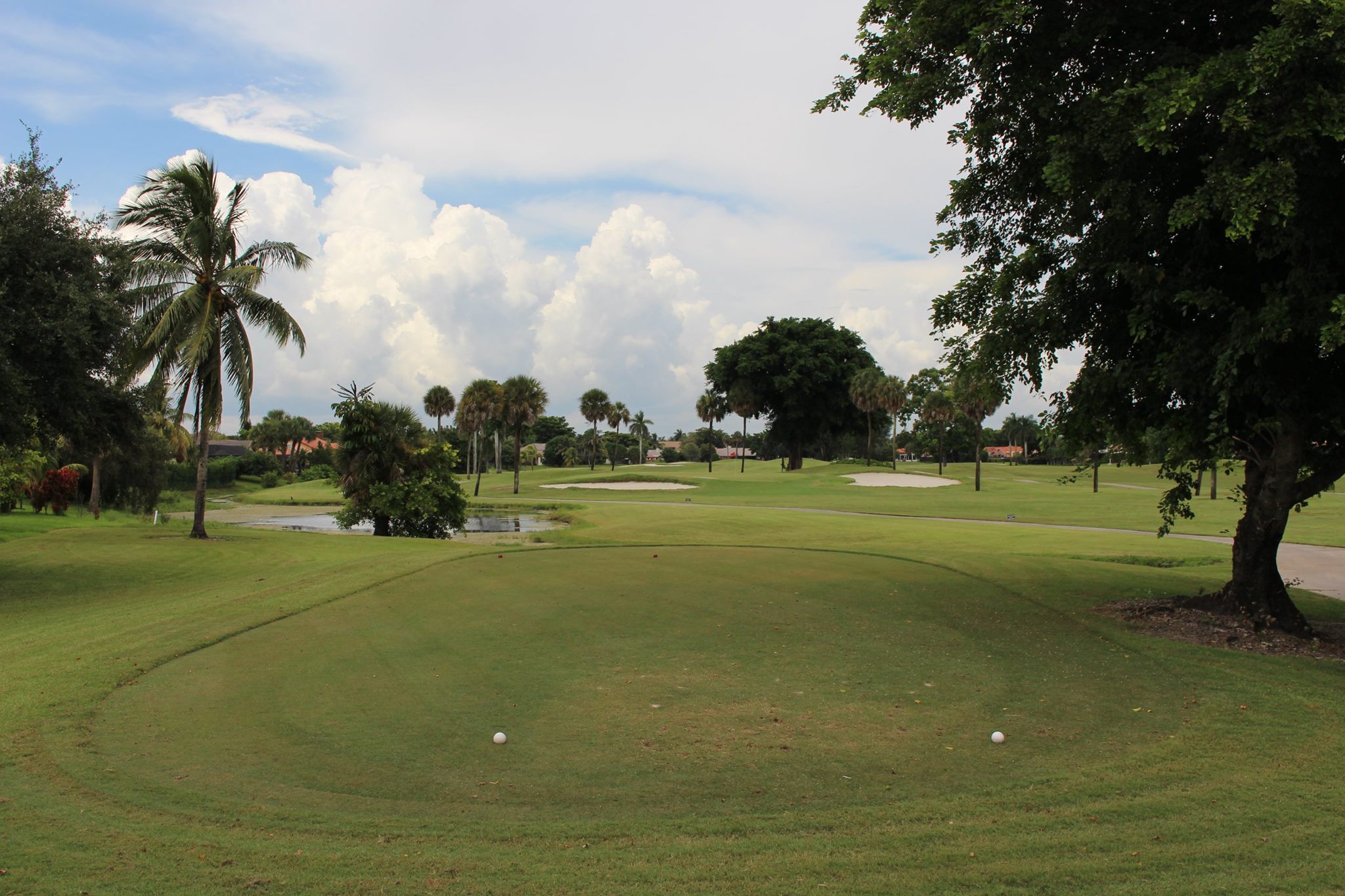 Gallery - Country Club of Miami