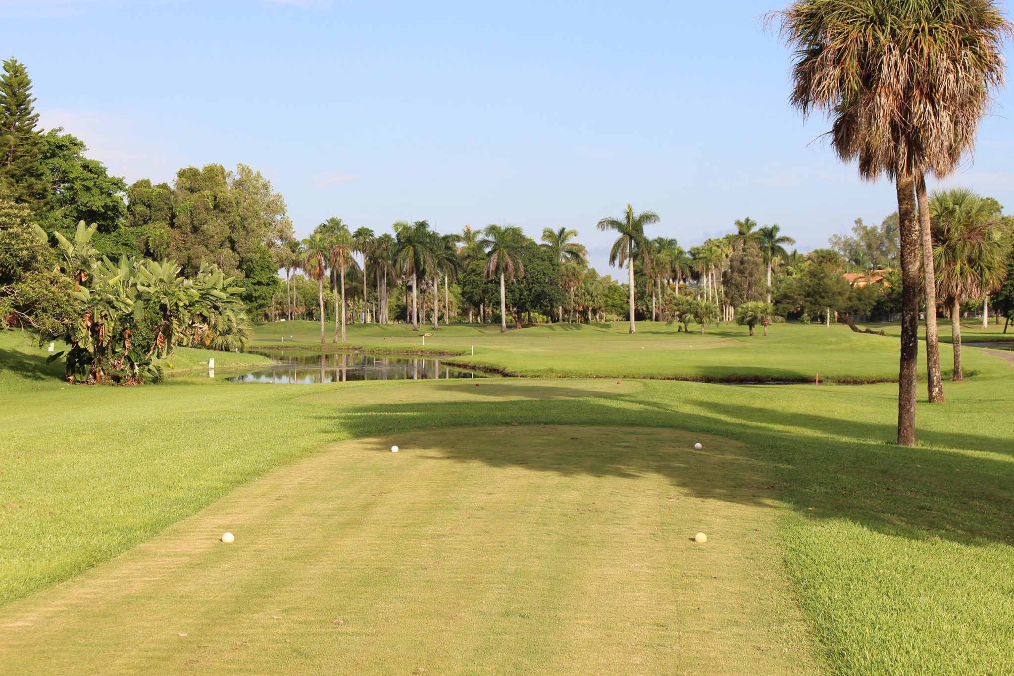 Gallery - Country Club of Miami